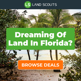 Own Land Through Easy Terms | Prime Land Exchange