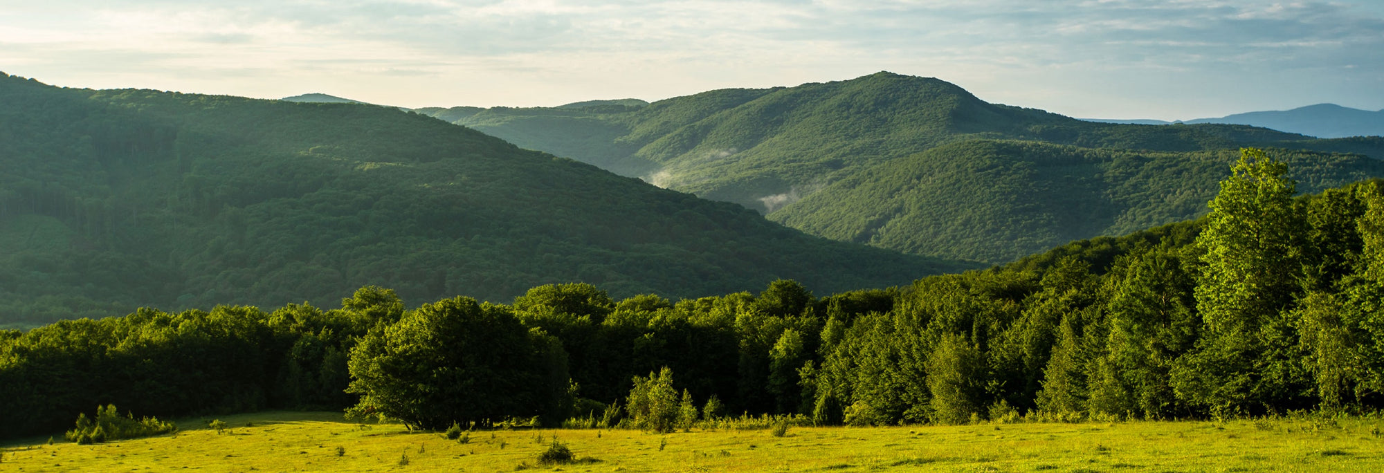 Making Land Accessible | Prime Land Exchange